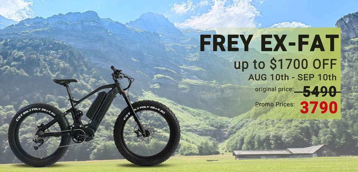 Best Value off road Electric Mountain Bike | Frey Ebike