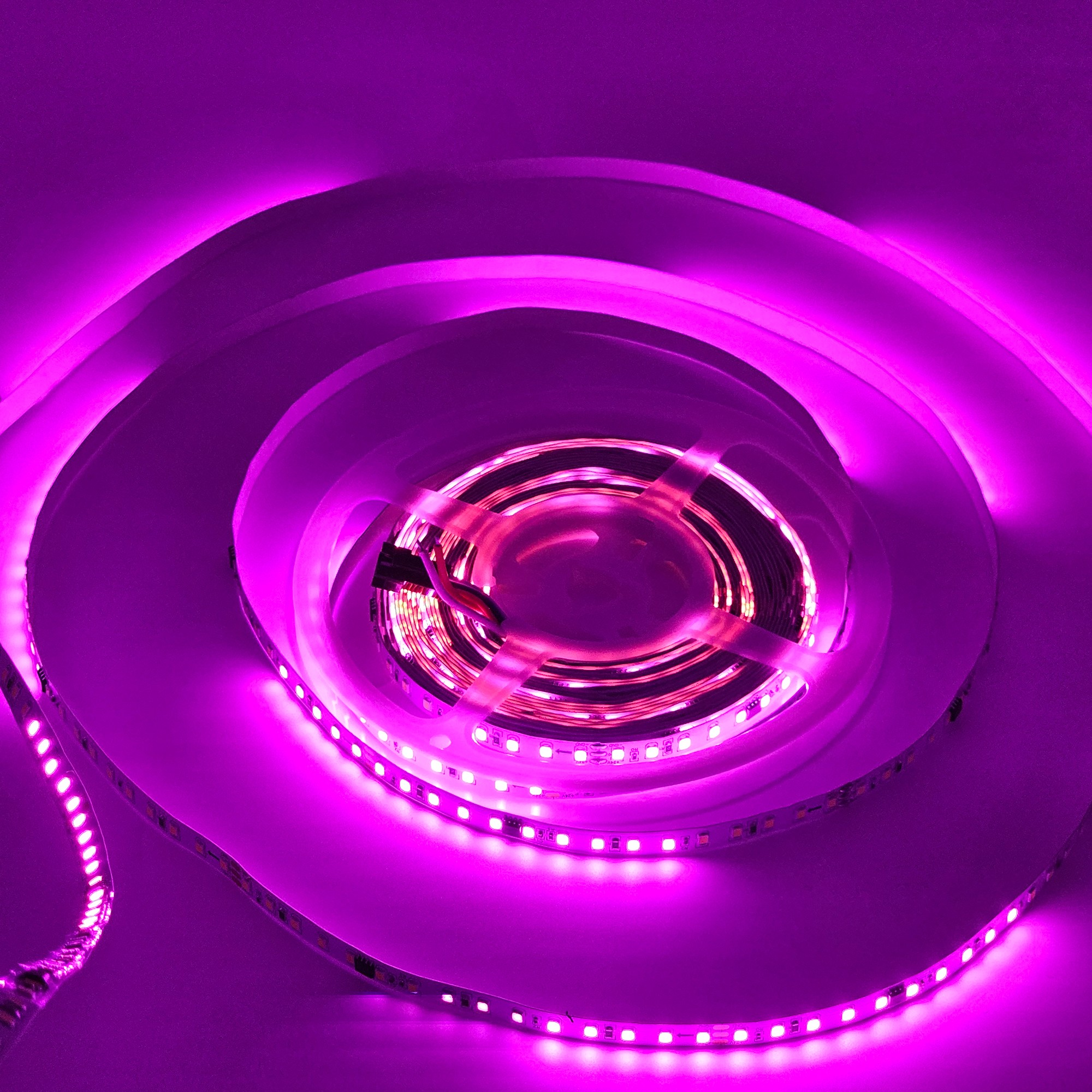 TIRA DE LED ROSA 10MT LED-2835PM120P-24V