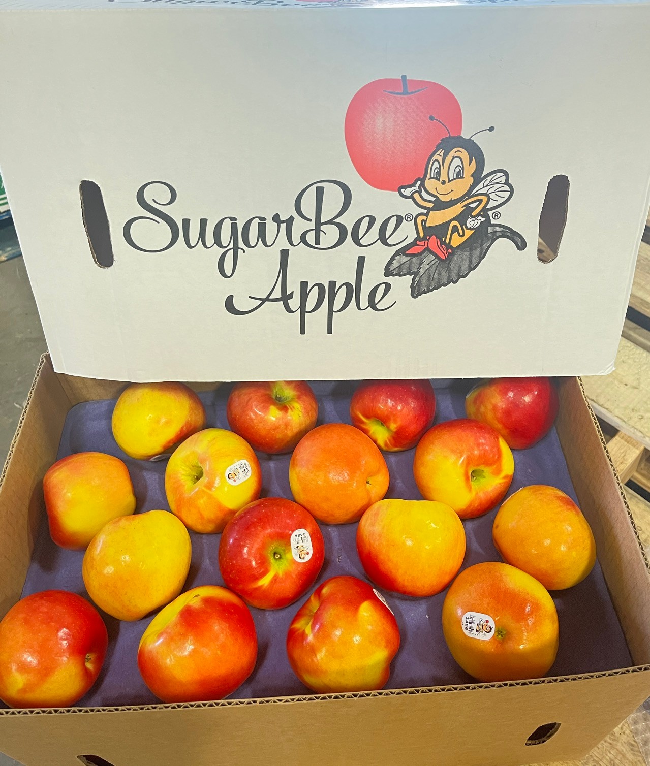 Suger Bee Apple